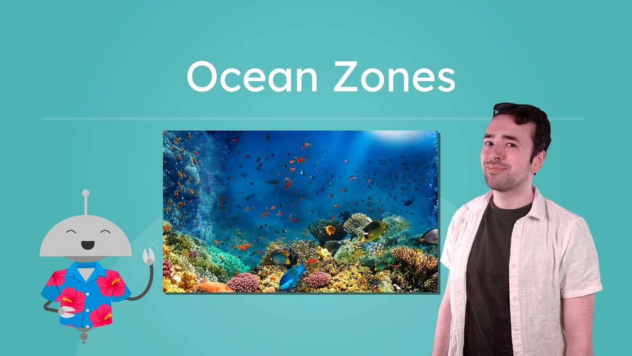 Ocean Zones - The Sunlight, Twilight, and Midnight Zones of the Ocean!