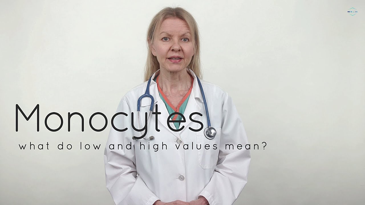 Monocytes - Low, High,  Normal Values, Functions