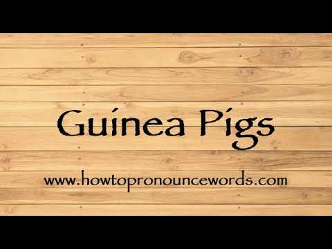 How To Pronounce Guinea Pigs ? How To say Guinea Pigs New Video