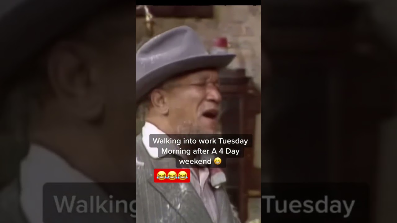 Hump Day #wednesday #viral #funny #comedy #friday #weekend