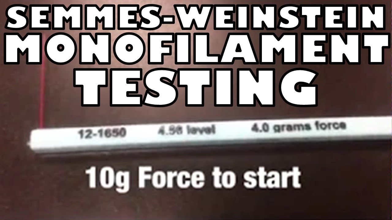 How to Perform the Semmes Weinstein Monofilament Test - Ohio University - Anatomy