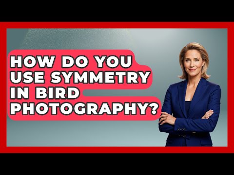 How Do You Use Symmetry In Bird Photography? - Bird Watching Diaries