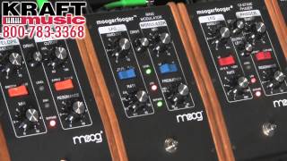 Moog Moogerfooger MF-102 Ring Modulator - What To Know & Where To Buy | Equipboard