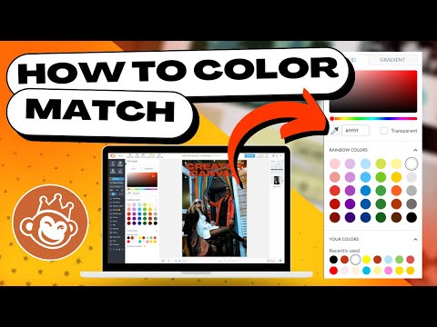 PicMonkey Color Tutorial: How to Match Colors, Use Hex Codes, Color Picker, and More!