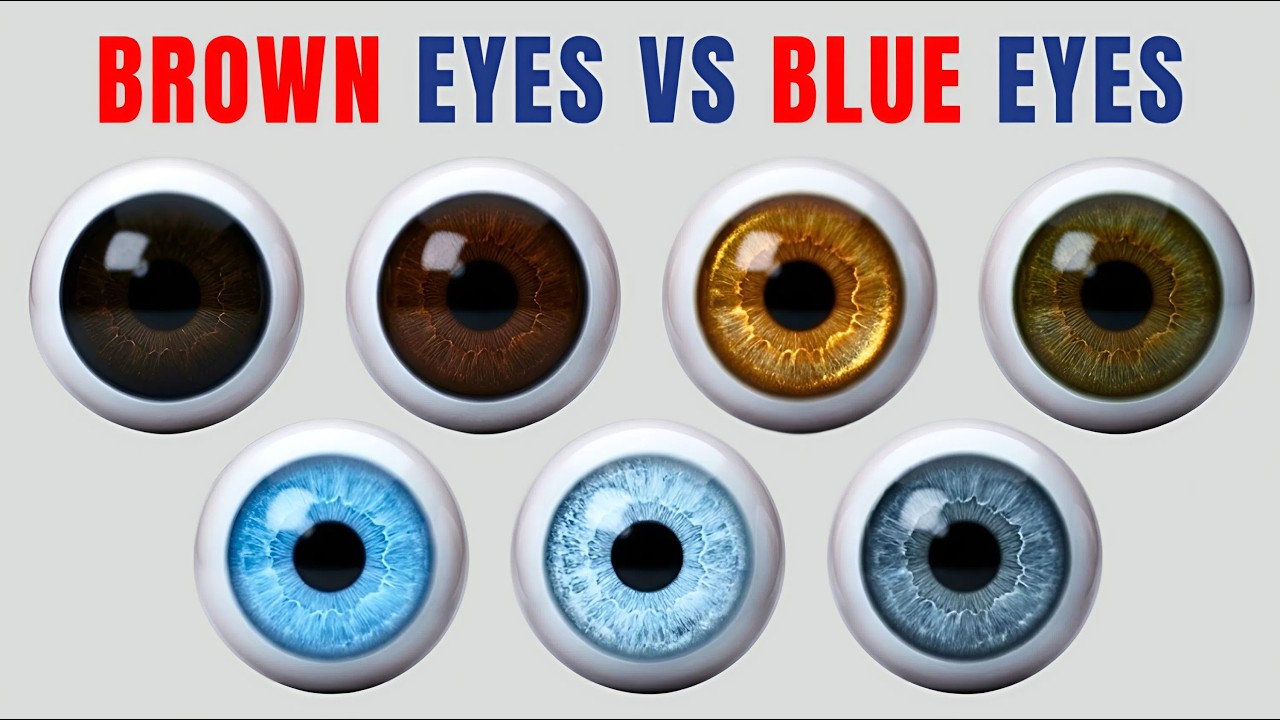 Brown Eyes vs Blue Eyes: Which Has The Real Biological Advantage?