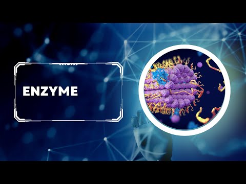 Enzyme simple definition