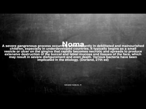 Medical vocabulary: What does Noma mean