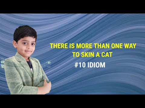 THERE IS MORE THAN ONE WAY TO SKIN A CAT |CAT IDIOMS | IDIOMS | in english with meaning and examples