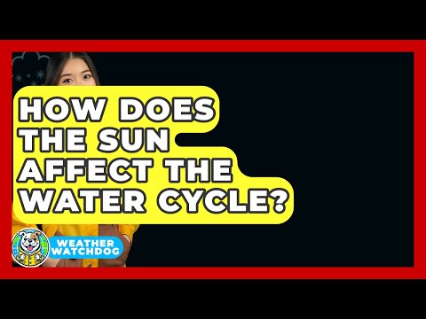 How Does The Sun Affect The Water Cycle? - Weather Watchdog