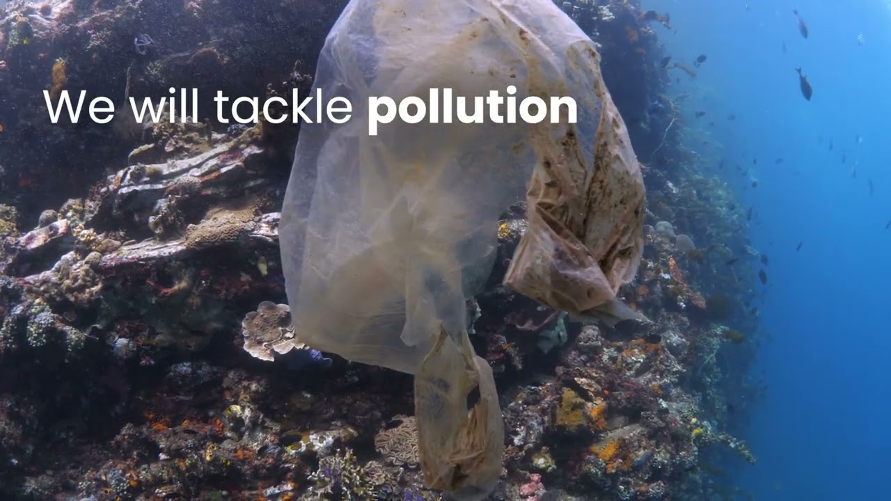 Our plans for Marine Conservation in 2026