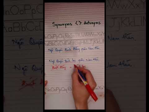 Synonyms Antonyms Translation Fun Funny Grammar Writing Vietnamese Tiếng Việt Learn English