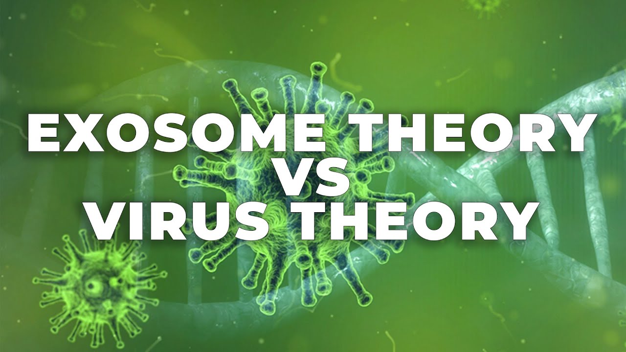 Exosome Theory VS Virus Theory | In Depth Explanation