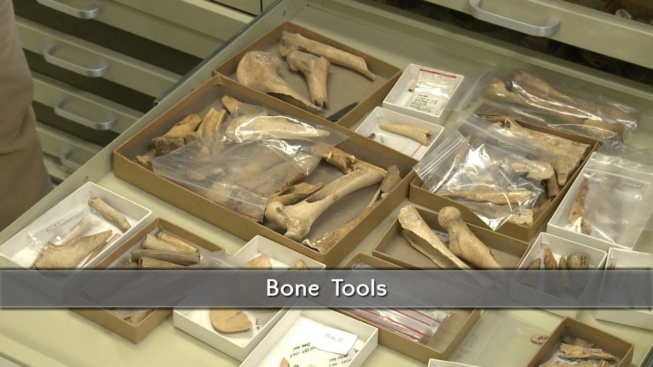 Bone Tools used by Virginia's First People