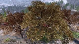 Wind Animation demo - ELOS OAKS Autumnal Colours SSE at Skyrim Special ...