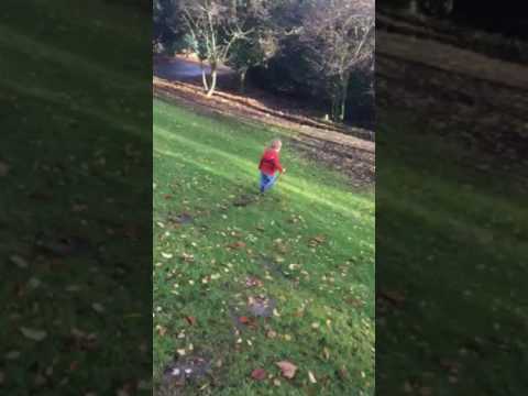 Digby in Ranelagh Gardens