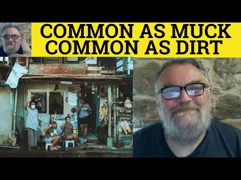 🔵 As Common As Muck Meaning - As Common As Dirt Examples - Dirt Common Definition - As As Similes