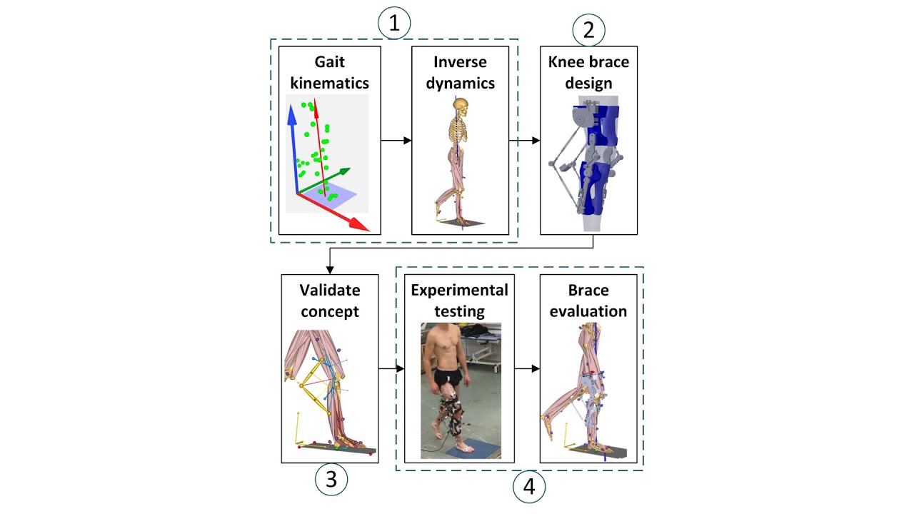 [webcast] - Investigation of bracing to unload muscle and knee contact forces for knee patients