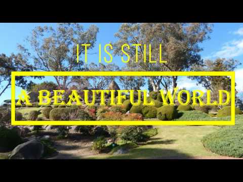 It is still a beautiful world! | brian hedley marthick