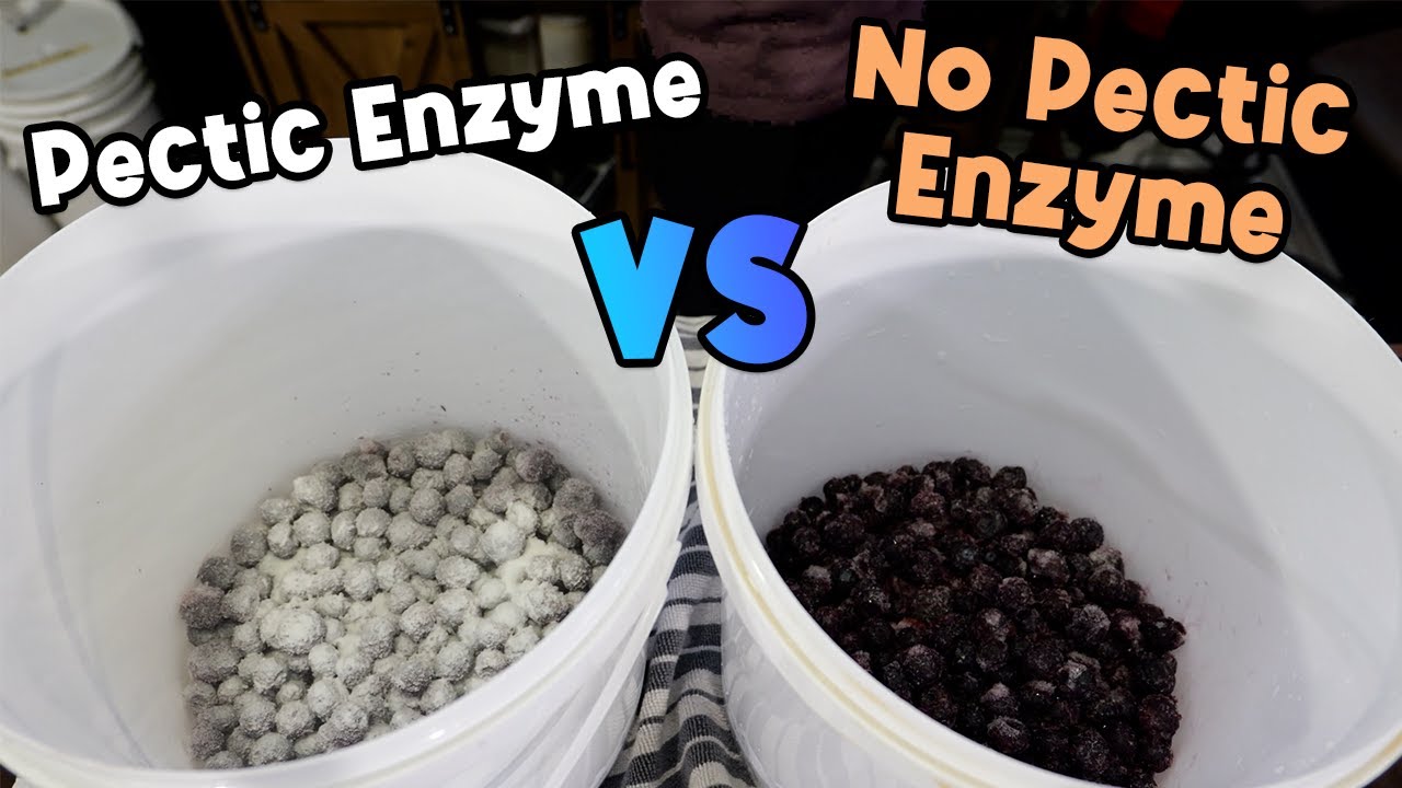 Pectic Enzyme vs No Pectic Enzyme in Mead