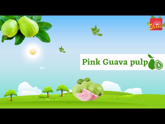 Aseptic Fruit Pulp Concentrate - Totapuri Mango Pulp Manufacturer from ...