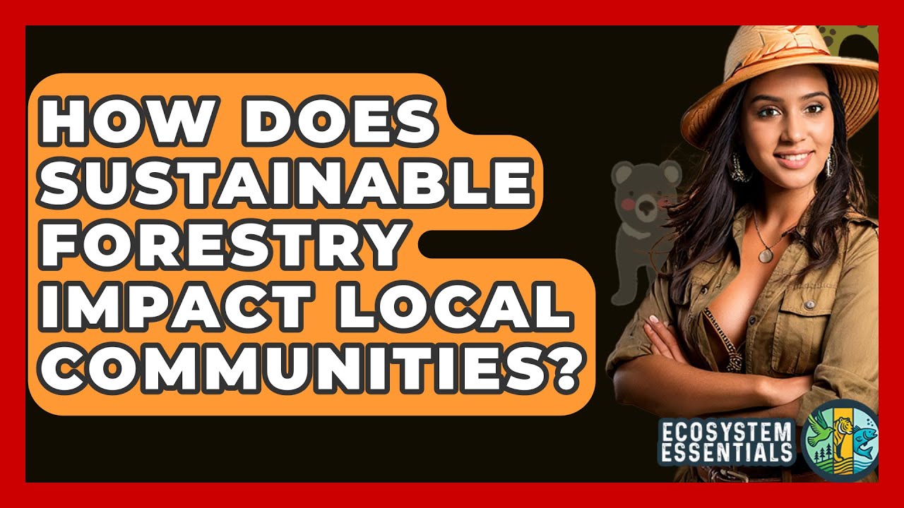 How Does Sustainable Forestry Impact Local Communities? - Ecosystem Essentials