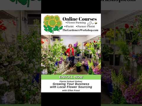 Build your confidence and broaden your possibilities plus save $100! Comment FLORIST and Iโll DM a