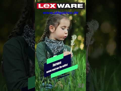 Lexware Lohn und Gehalt Video Online Seminar