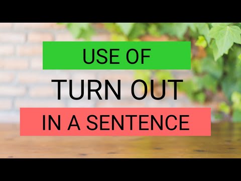 USE OF "TURN OUT" IN A SENTENCE AND IT'S MEANING.