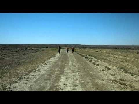 The Red Desert Footrace: Barefoot Ted, John Durant, and Dennis Shaver