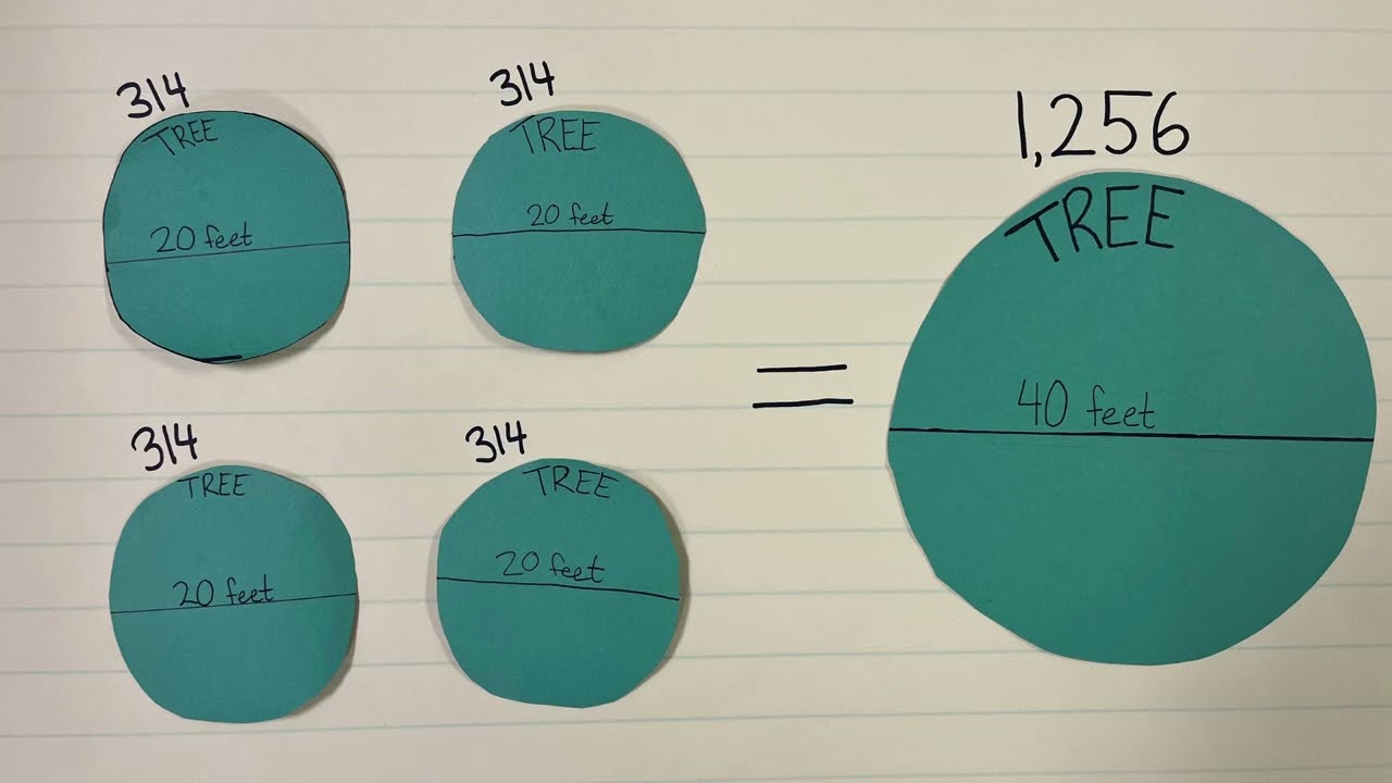 Understanding Tree Canopy-- Why tree preservation is preferred over removal and replacement