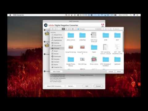 How To Use New Camera RAW files in Older Versions of Photoshop and Lightroom