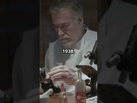 very amazing facts about the 1900s #shorts