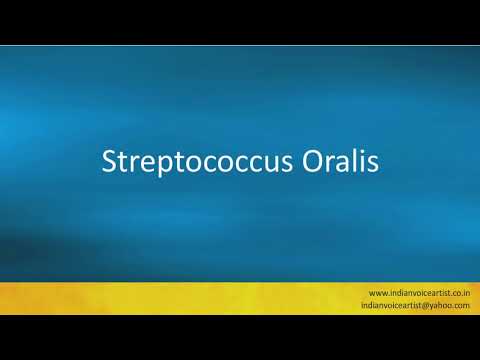 Pronunciation of the word(s) "Streptococcus Oralis".