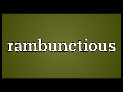 Rambunctious Meaning
