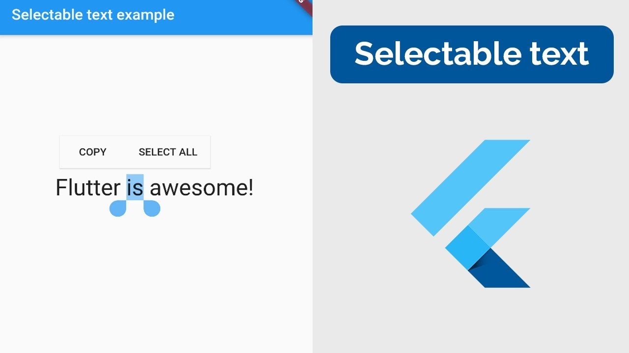 How to display Selectable Text in Flutter - Programming Addict