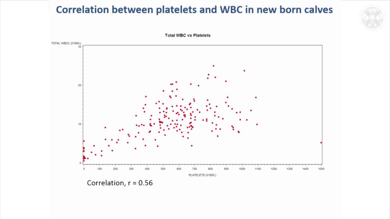 19. Correlation Analysis