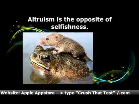 AP Psychology - Altruism