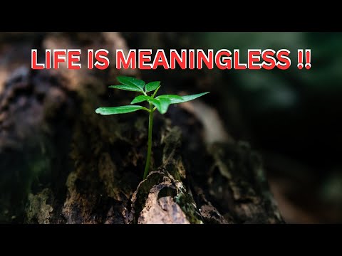 What is nihilism? 2-min Philosophy