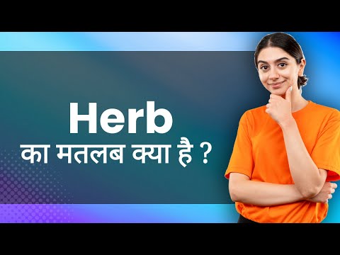 Herb: Hindi Meaning with Examples & Synonyms | जड़ी-बूटी Ka Matlab 📚