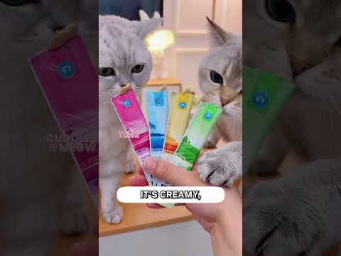 Does Your Cat Look Like A Monster? πΉ