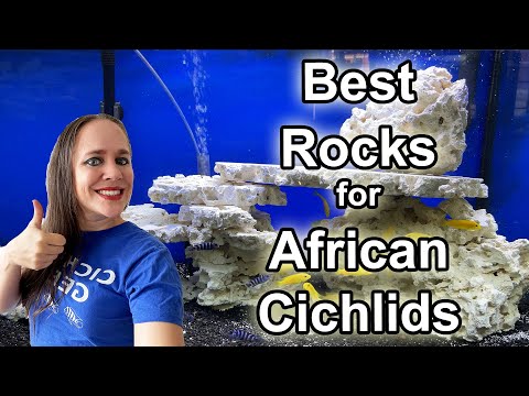 The Best Rocks for the African Cichlid Aquarium