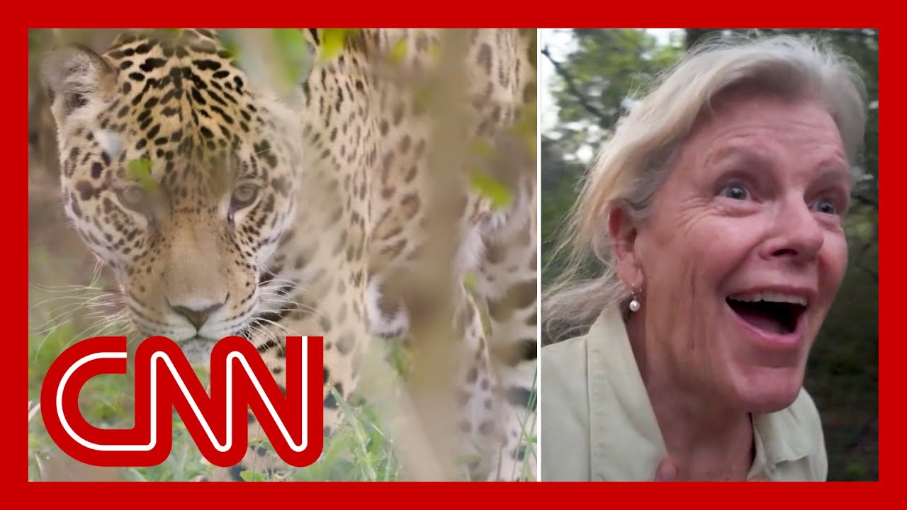 Inside one of the world's most ambitious conservation projects