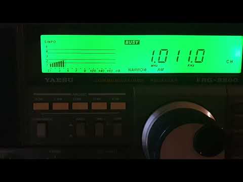 USA MW DX - 1010 WINS New York still audible at 0802 - 28th Jan 2023