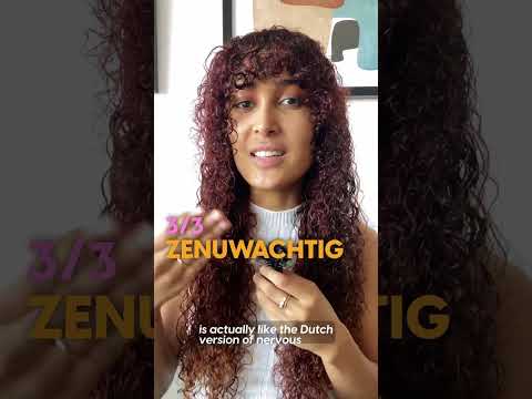Gespannen vs. Nerveus vs. Zenuwachtig in het NETHERLANDS 🇳🇱 🤫