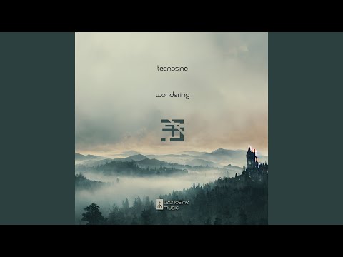 Wondering