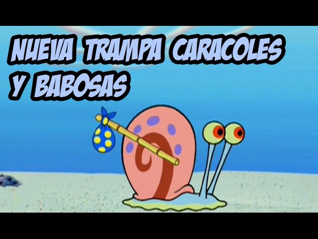 Una Nueva Forma de Combatir Caracoles y Babosas en tu Huerto Ecológico ... Una Nueva Forma de Combatir Caracoles y Babosas en tu Huerto Ecológico ...