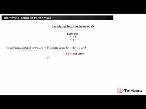 Identifying Terms in Polynomials (A-SSE.1b)