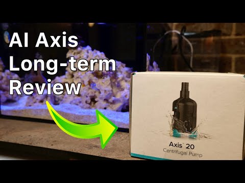An Honest Review Of The AI Axis Return Pump