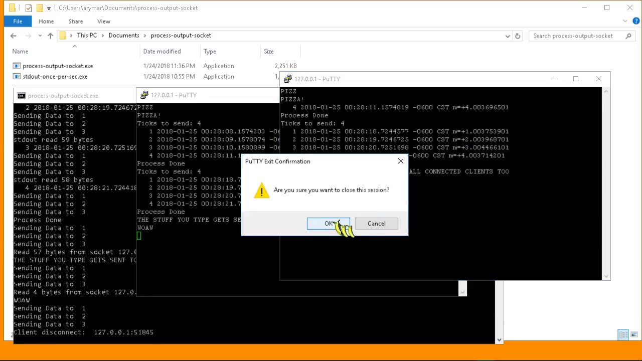 Process Output Socket Demo