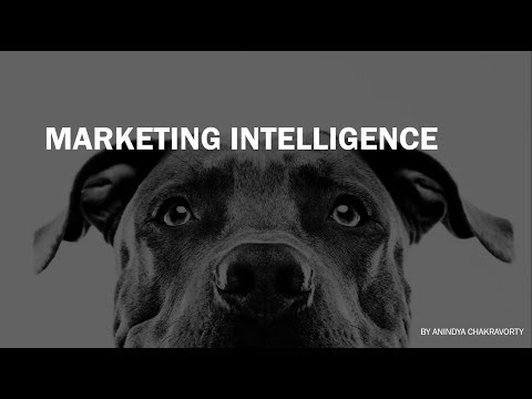 Marketing Intelligence